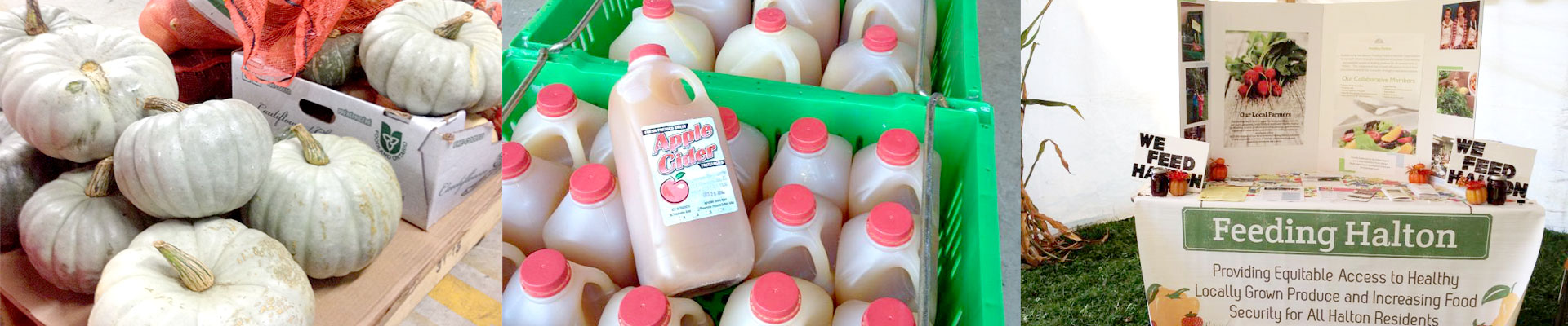 Raising Food - Local Farms and Agencies Work Together to Reduce Hunger ...